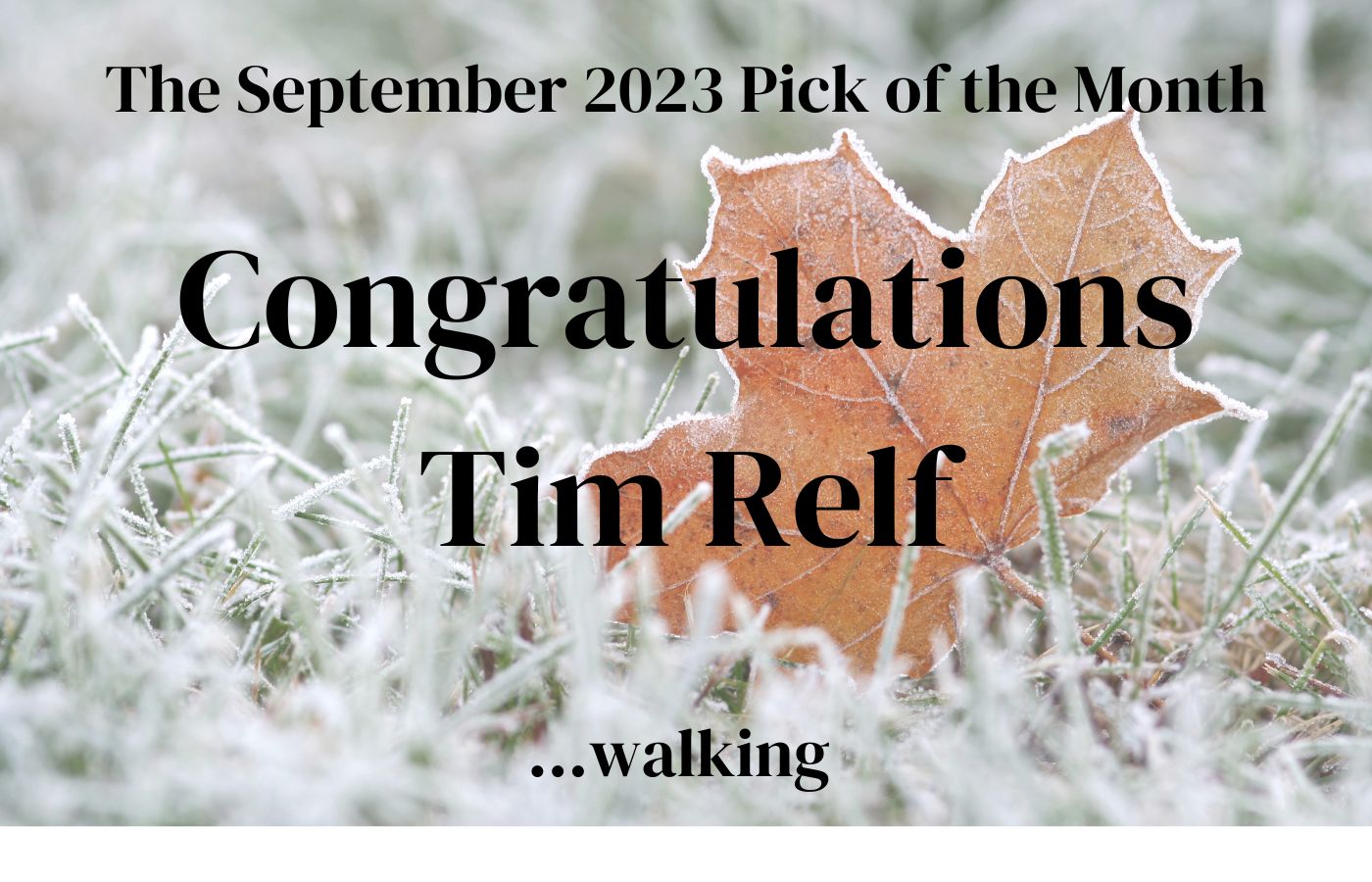 Ink Sweat and Tears | The poetry and prose webzine